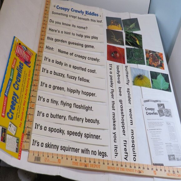 Scholastic | Toys | Creepy Crawlies Pocket Chart Complete Set Laminated ...